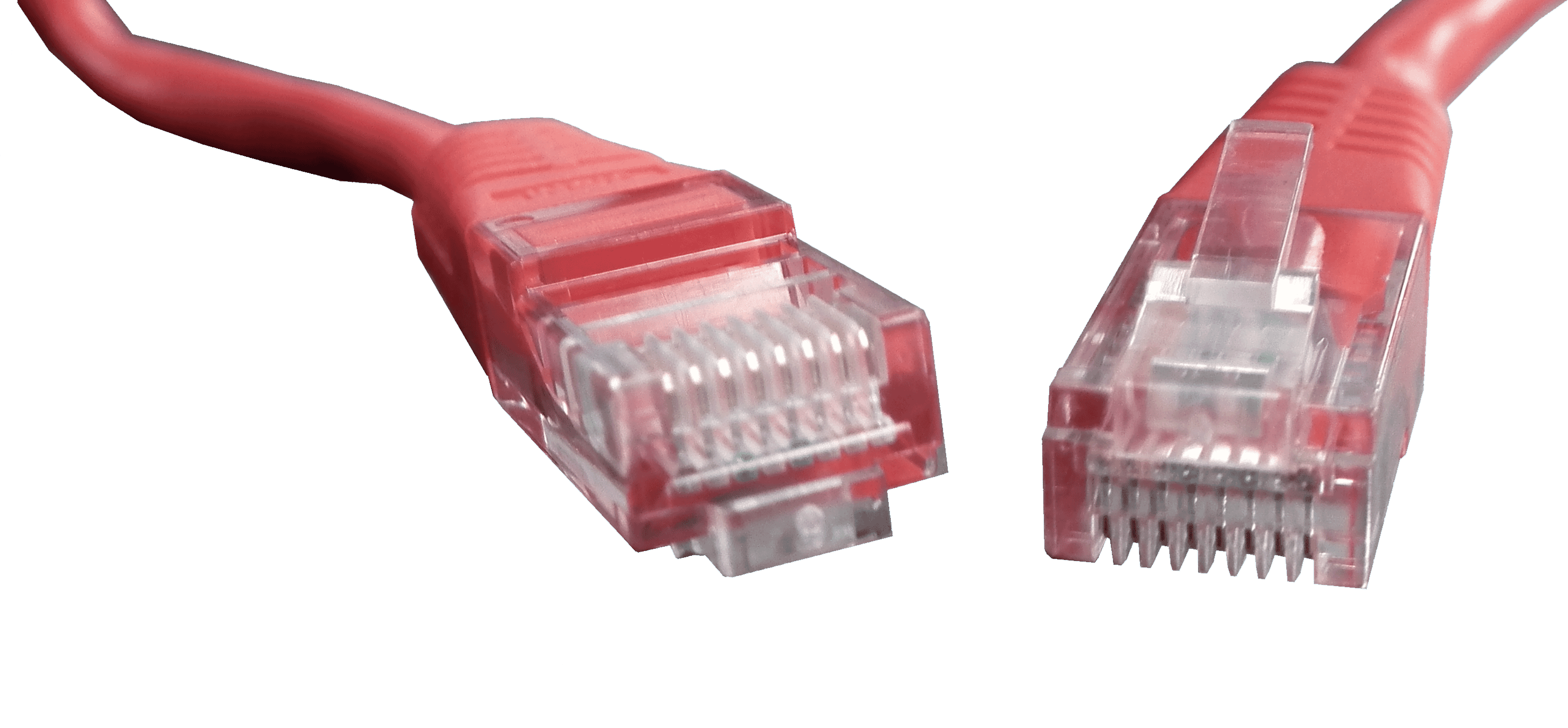 Haydon Red CAT5 Patch Lead, 0.5M